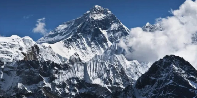 Nokdiak the Egg-Laying Mammal, Original from Papua - papuaaround.com